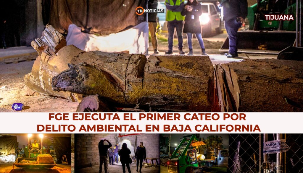 FGE EJECUTA EL PRIMER CATEO POR DELITO AMBIENTAL EN BAJA CALIFORNIA ...